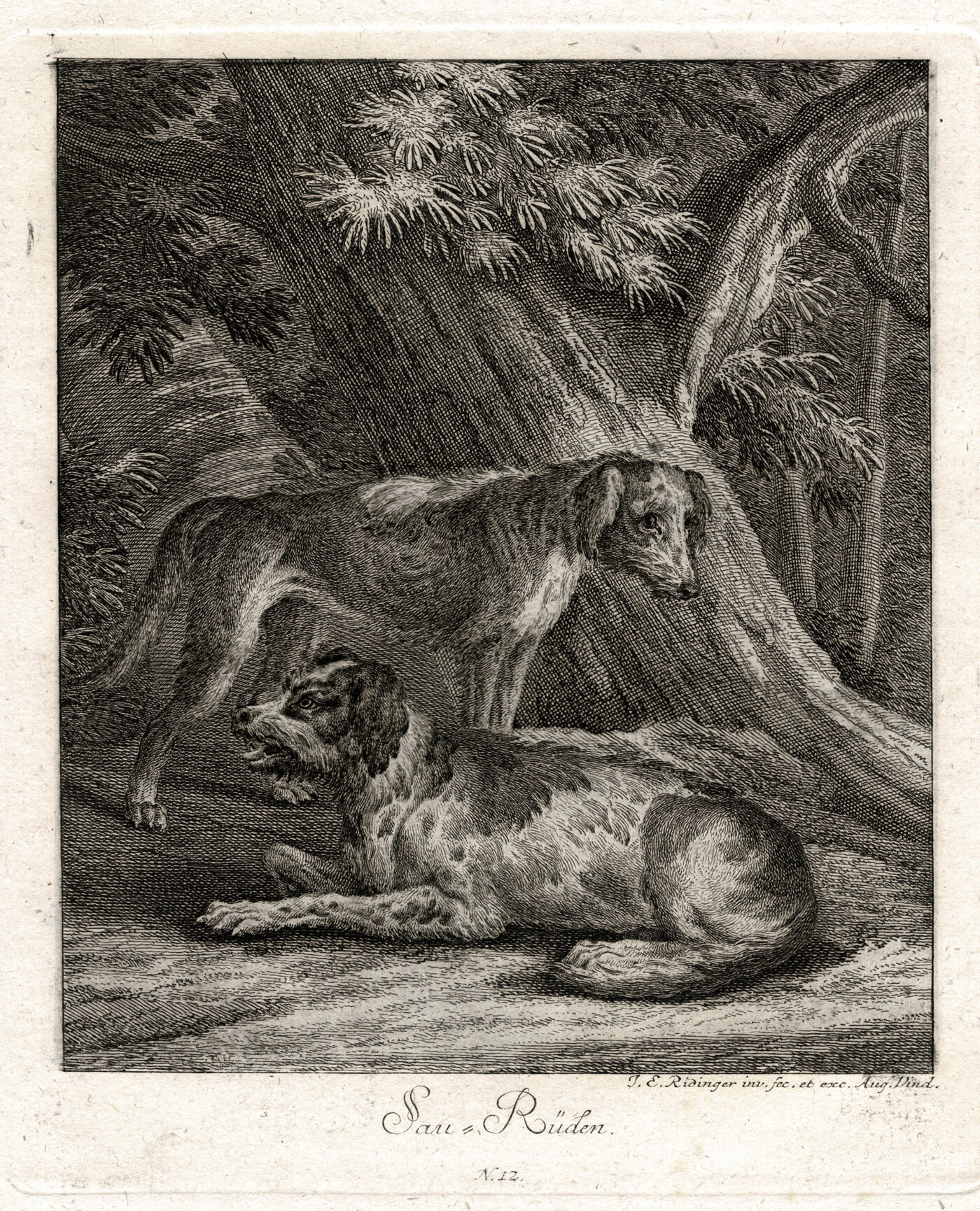 Johann Elias Ridinger - Hunting Dogs - Boar Hounds - Sau Hunde ...
